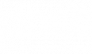 Group Companies - CEC